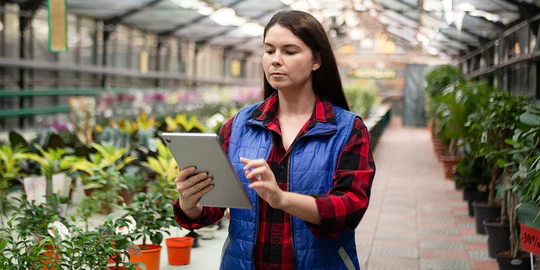 PLANNING THE LAYOUT OF GROW LIGHTS – Benchmark Hydroponics