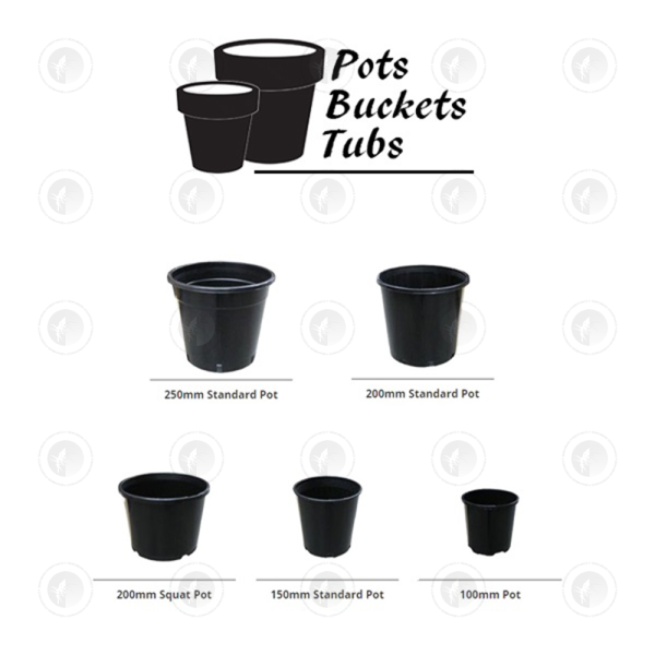 Plastic Pots - Various Sizes | Standard Drain Holes | GCP – Benchmark ...